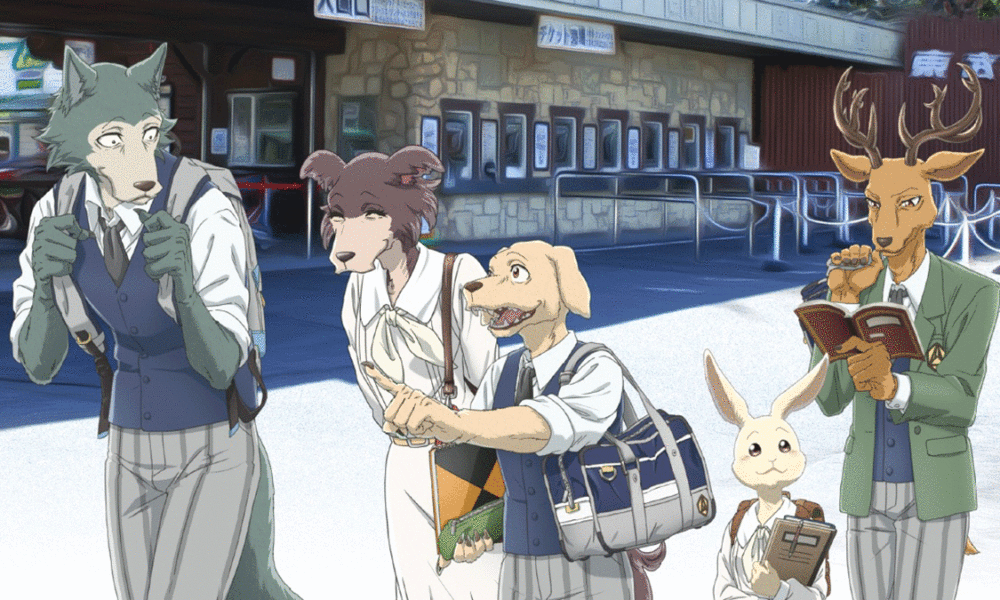 BEASTARS : La saison 3 annoncée ! - Coyote Magazine