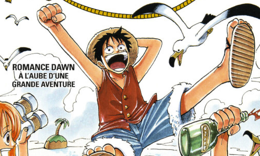 ONE PIECE : Plus d'un million d'exemplaires vendus en France pour le ...